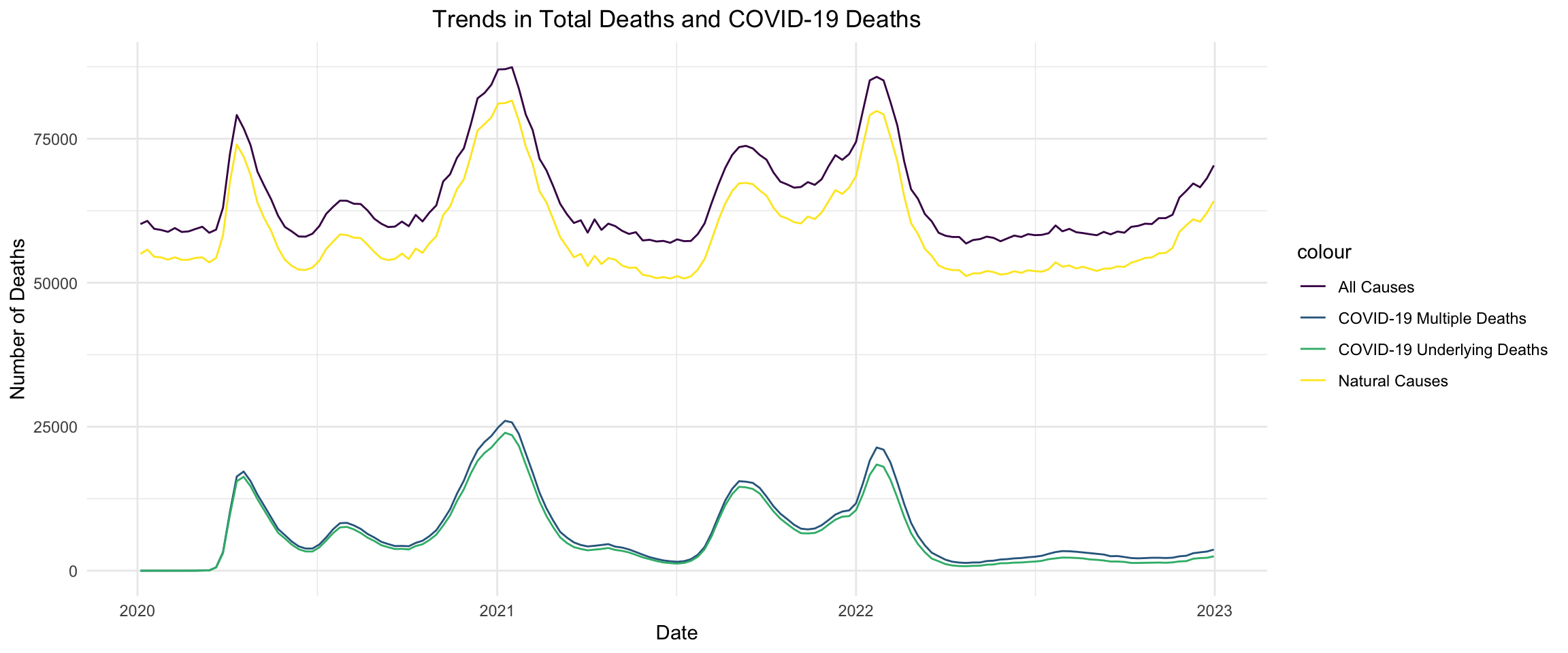 Statistical Analysis